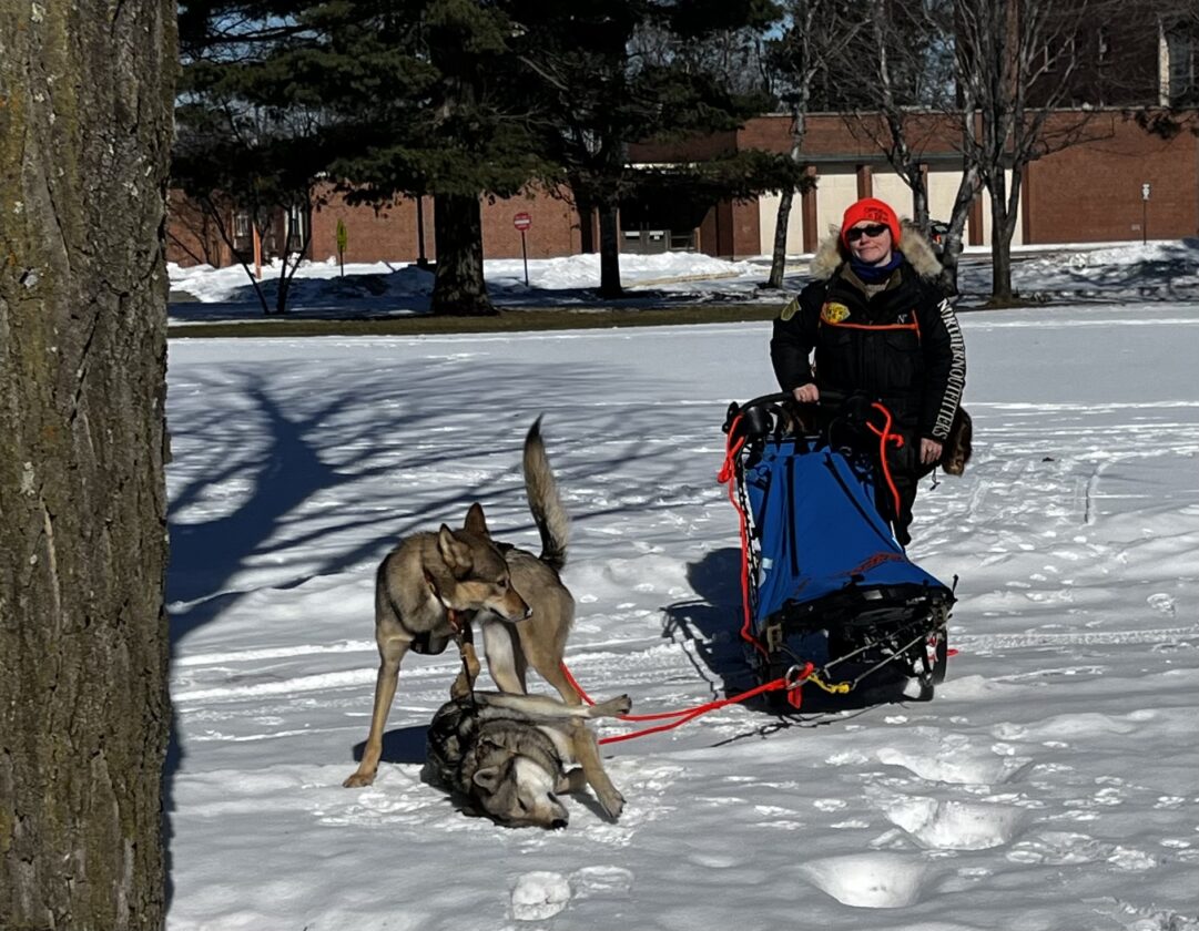Musher meet-and-greet a success | News, Sports, Jobs - The Mining Journal